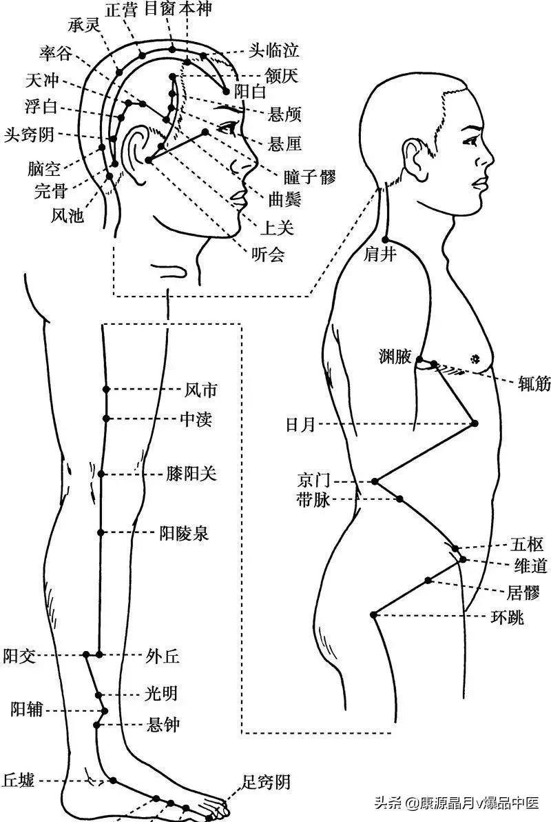 十四经脉+背诵歌诀 - 知乎