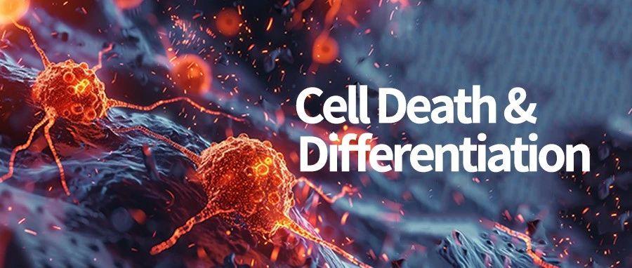 Cell Death Differ | 非组蛋白乳酰化通过转录激活调控肝细胞癌进展机制 - 知乎