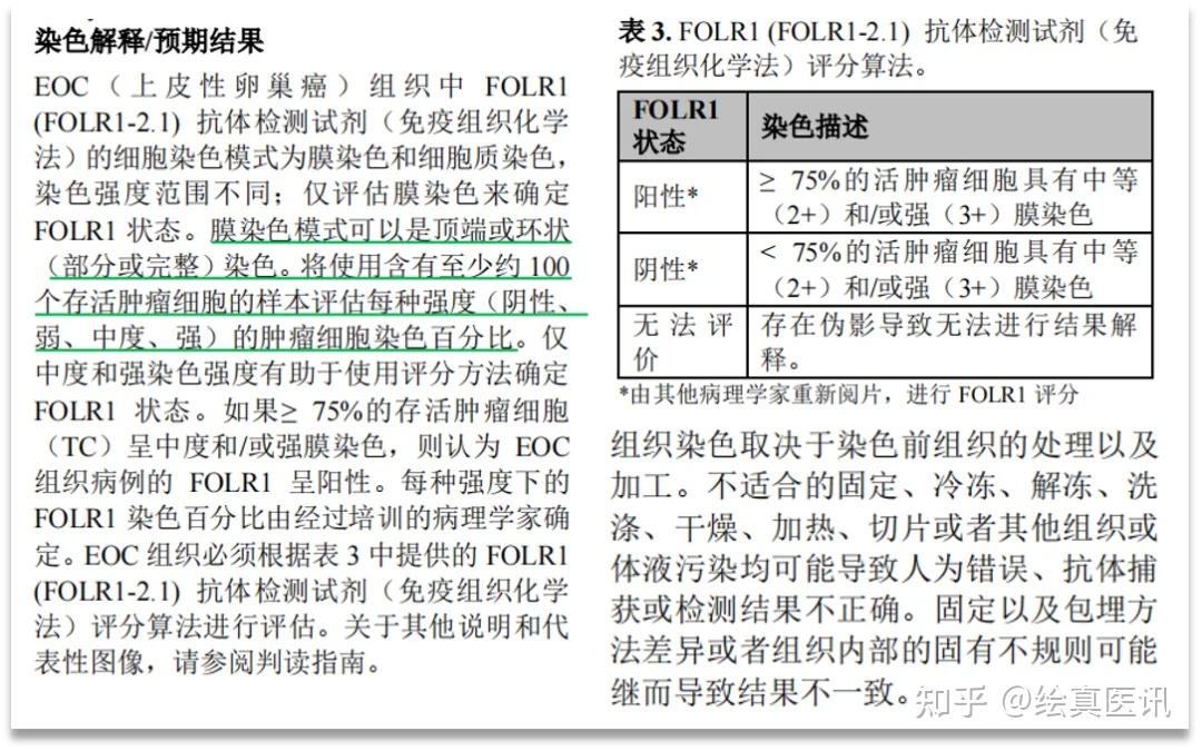 “绘”真报告 | 卵巢癌叶酸受体（FRα）表达检测，关注罗氏伴随诊断抗体「FOLR1-2.1」助力临床诊疗！ - 知乎