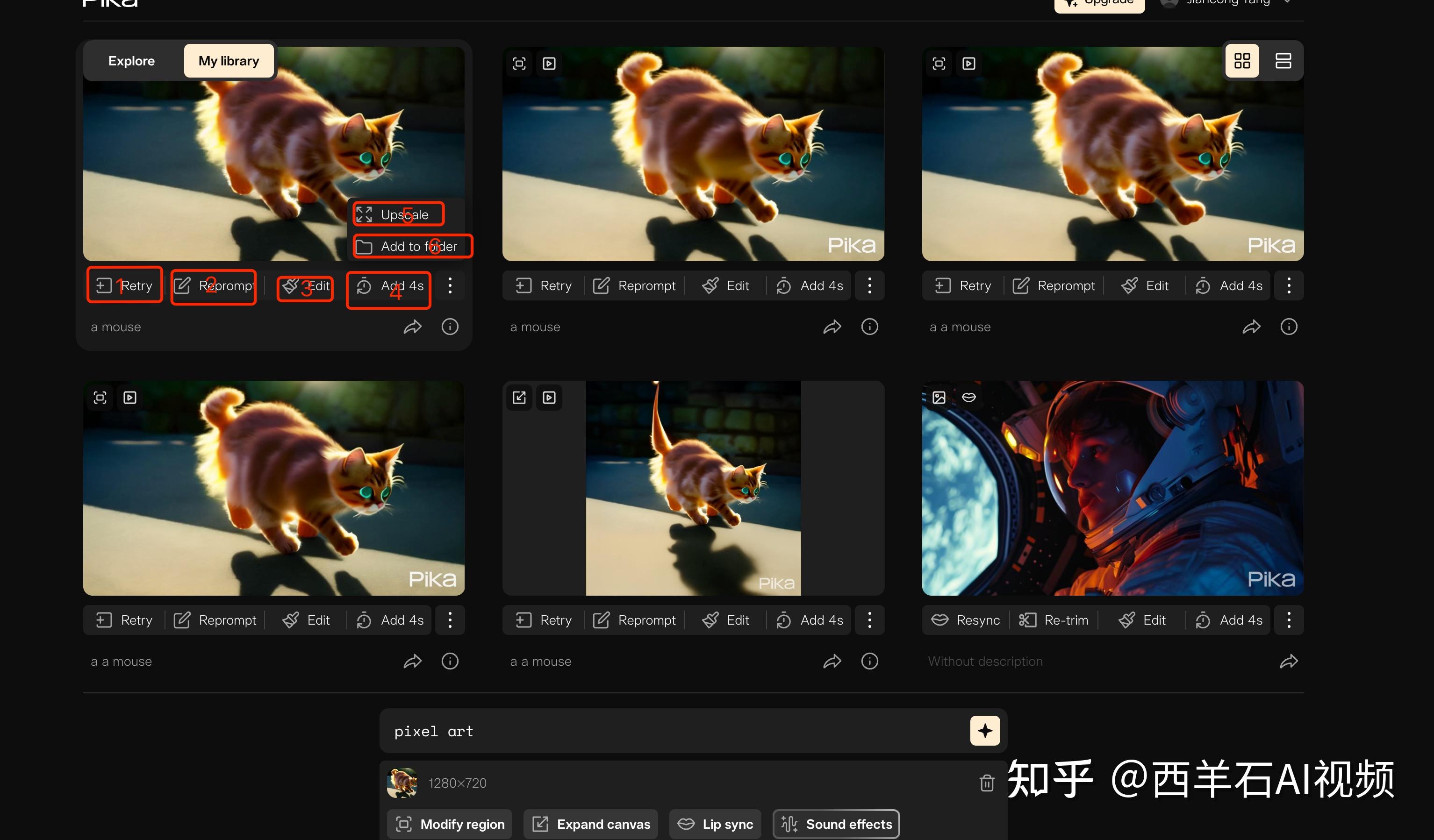 Pika完整版教程 - 知乎