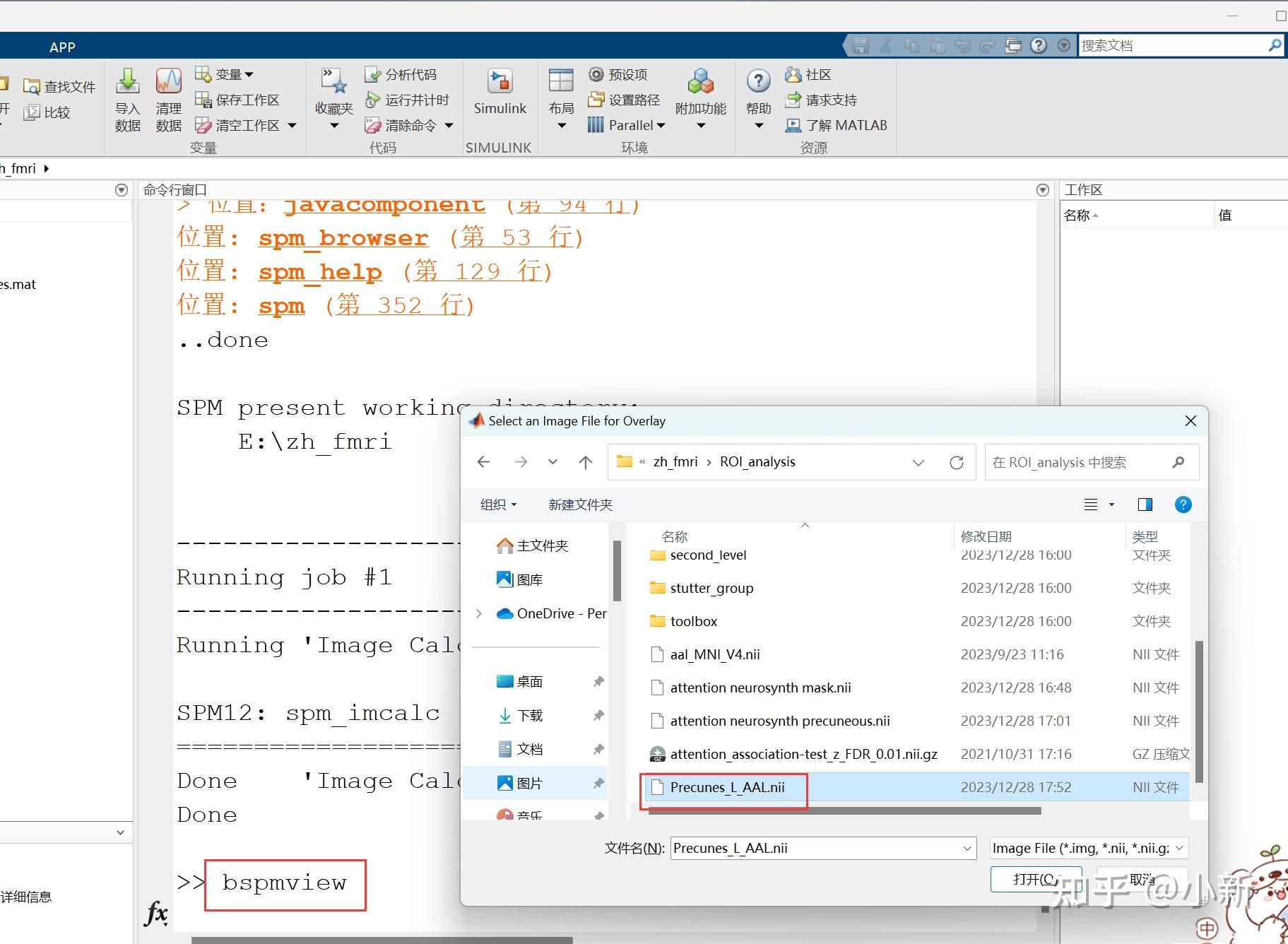 15（2）SPM-fmri任务态 制作ROI mask（客观模版） - 知乎
