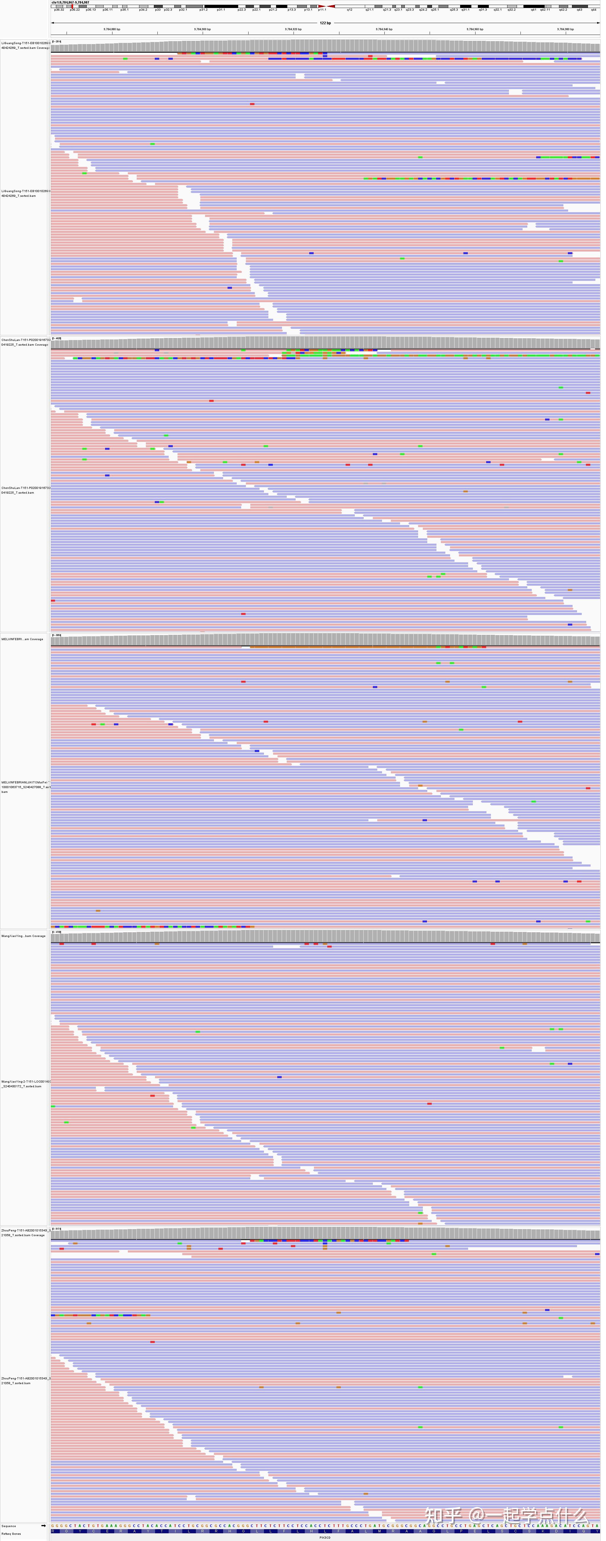 IGV批量自动化截图 - 知乎
