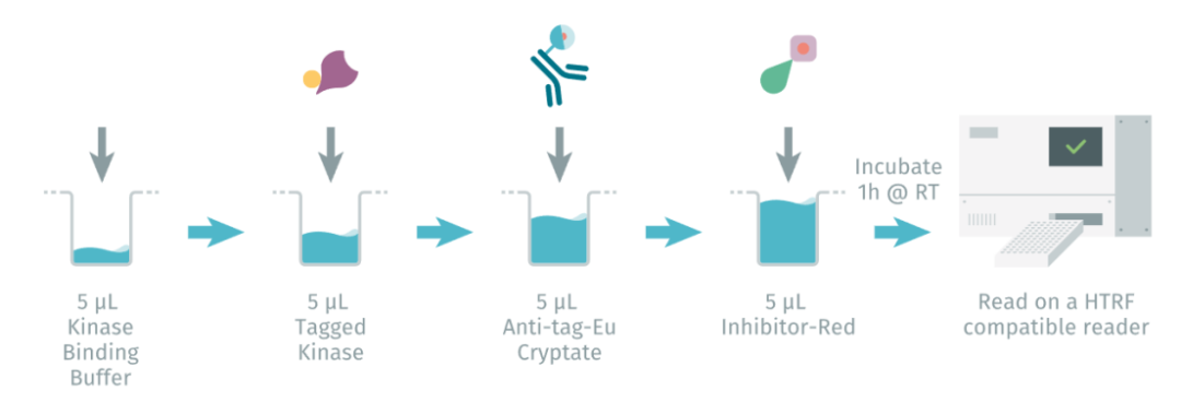 高效检测激酶活性：Revvity HTRF® KinEASE试剂盒——通用型底物兼容200+激酶 - 知乎