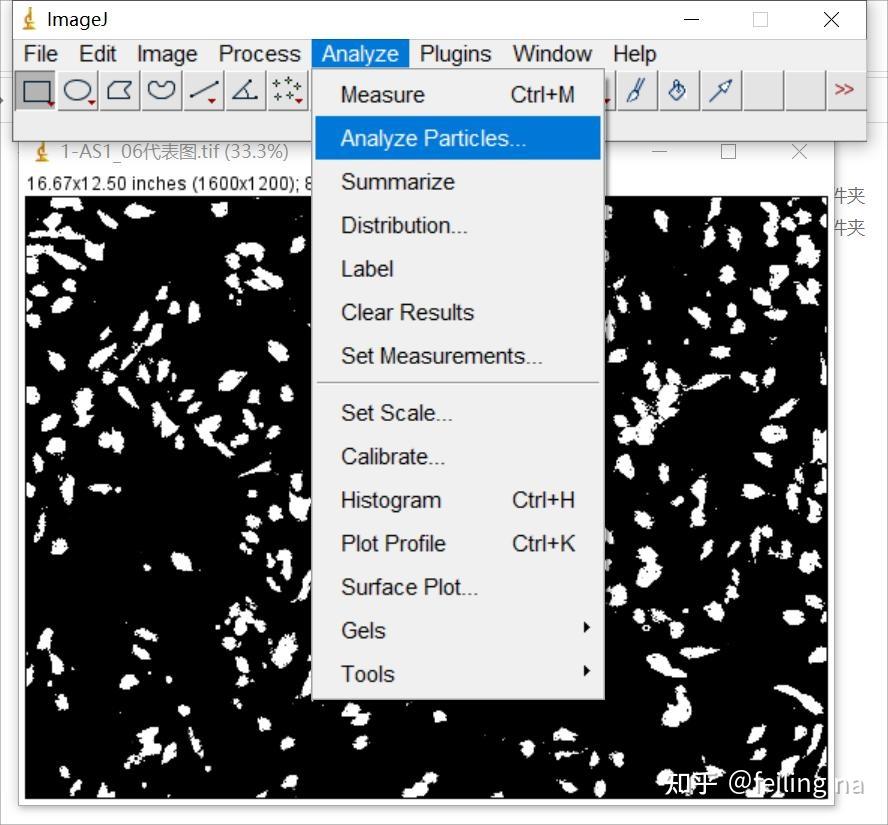 有哪些实用的ImageJ使用技巧？ - 知乎