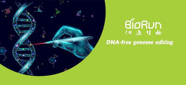 DNA-free基因组编辑技术任重而道远 - 知乎