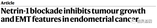 Nature | Netrin-1单抗抑制肿瘤生长, 阻断上皮间充质转化(EMT) - 知乎