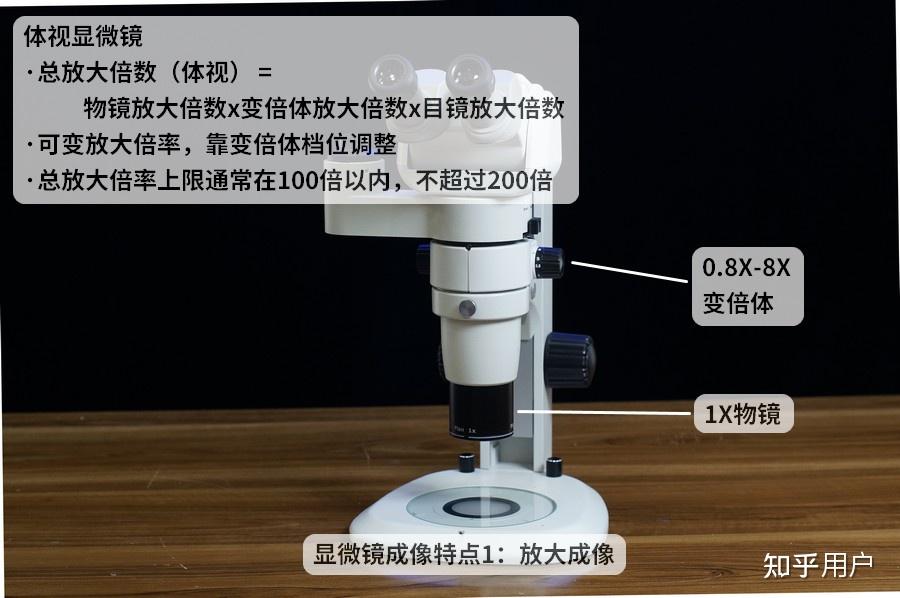 显微镜的成像特点是什么？ - 知乎