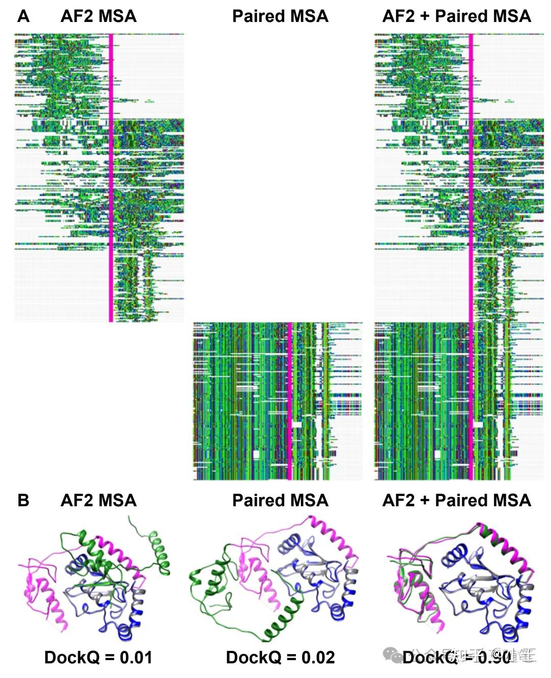 alphafold-multimer结果如何解读？ - 知乎