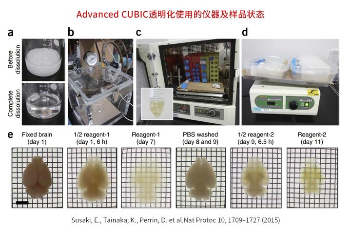 科研干货，组织透明化技术之Advanced CUBIC - 知乎