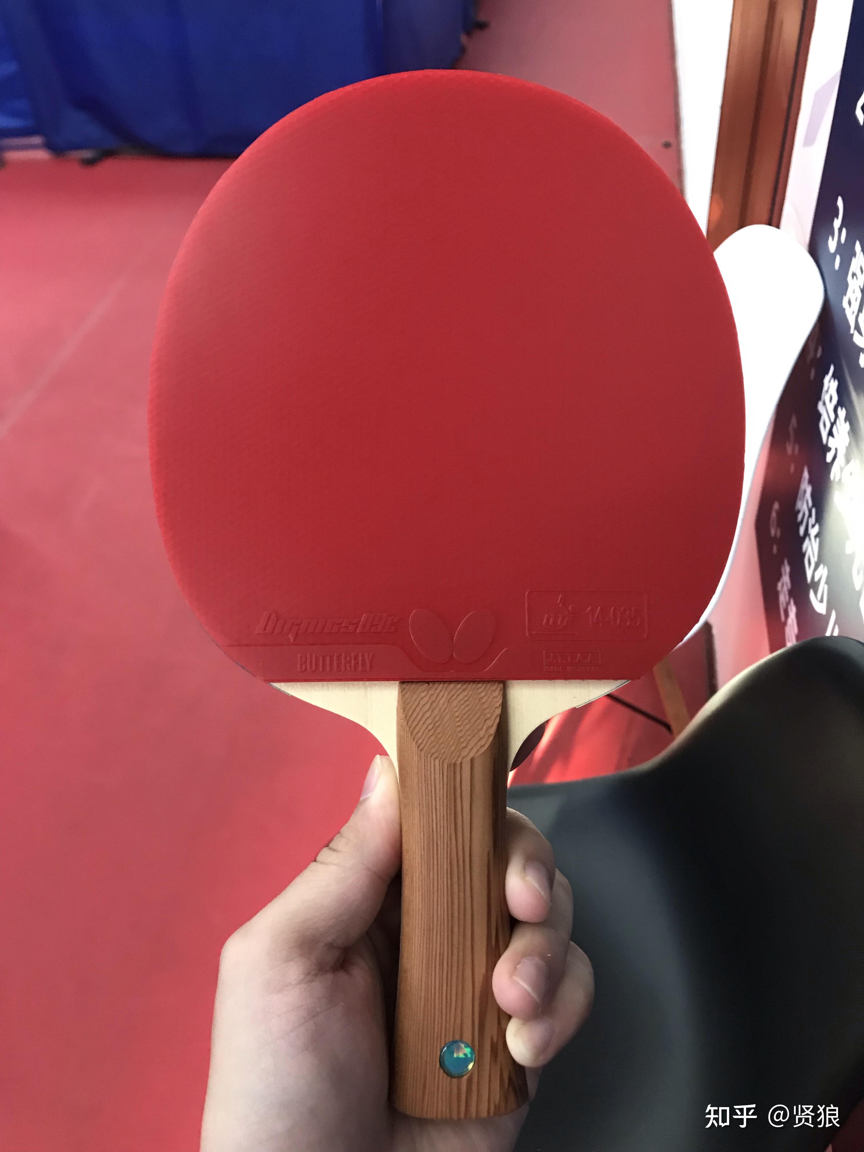 各位球友吗，底板张本alc，正手d05，反手搞个d09c可以不！！！? - 知乎