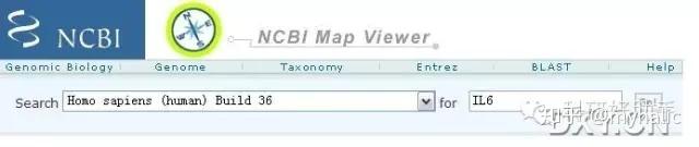 一步一步教你使用 NCBI 查找DNA、mRNA、cDNA、 引物设计、BLAST 序列比对等 - 知乎