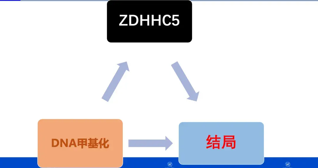 非常空白的超级热点：棕榈酰化，赶紧抢发！ - 知乎