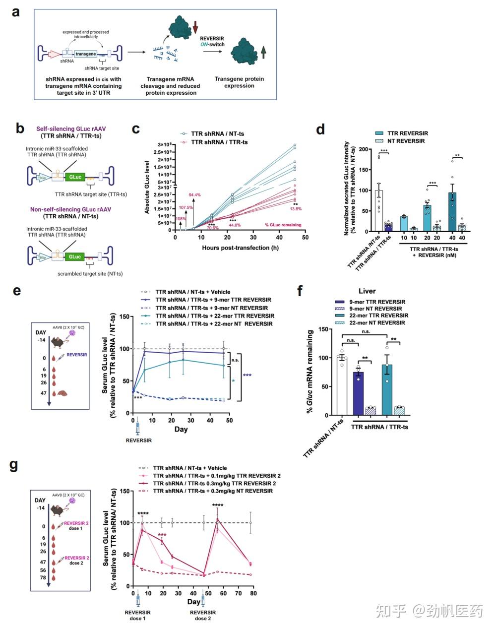 前沿 | RNAi介导方式可动态调控AAV递送的转基因表达，临床应用前景可观 - 知乎
