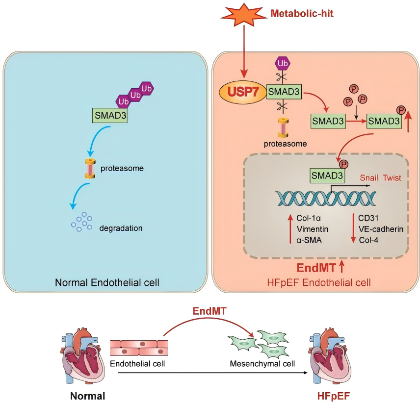 FRET、PLA、Co-IP和GST pull-down有何区别? 应该如何选择？ - 知乎
