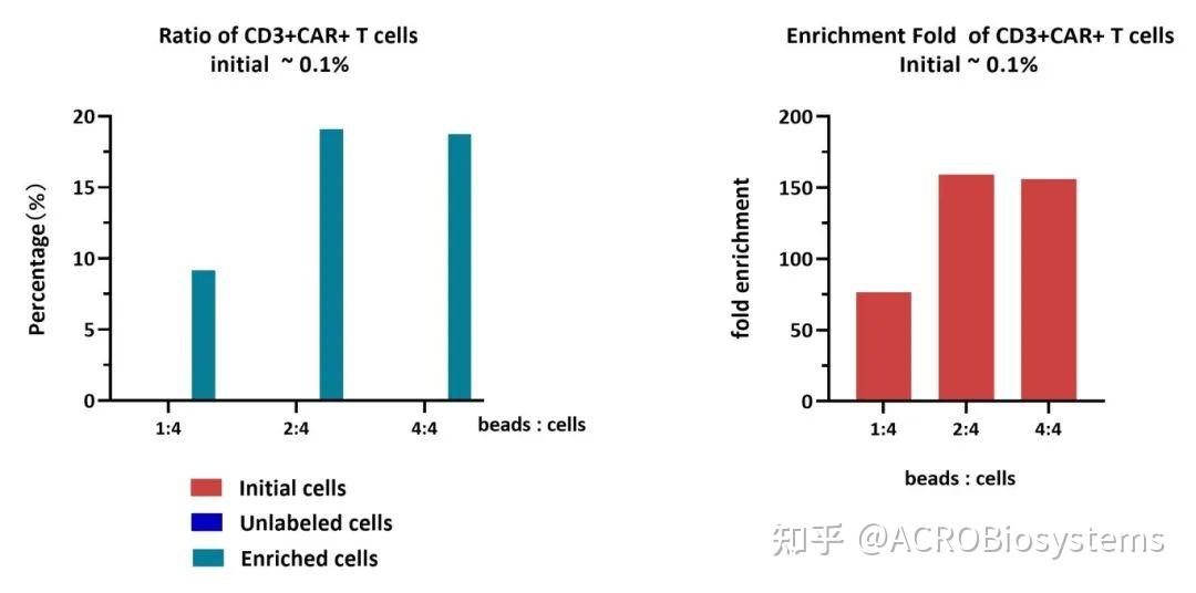 ActiveMax®靶点特异性激活磁珠：助力CAR细胞疗法高效富集与体外分析 - 知乎