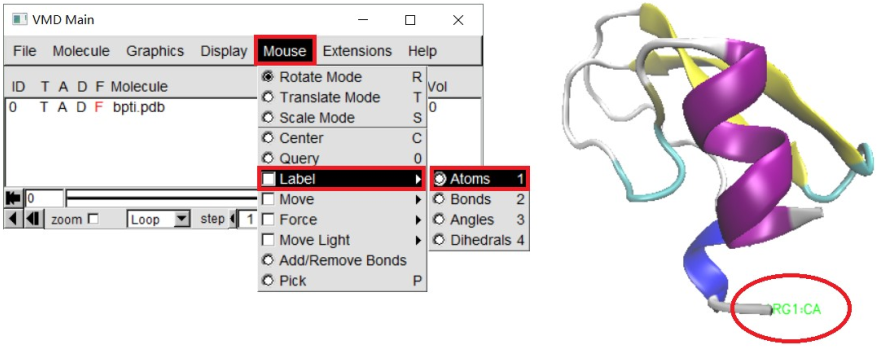 VMD可视化对接结果 - 知乎