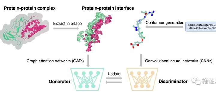 AIDD-GENiPPI: 一个针对 PPI 界面的分子生成框架 - 知乎