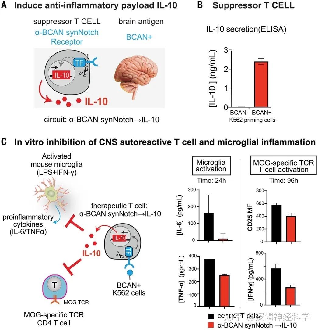 Science｜突破！美国科研团队编程组织感应T细胞实现大脑特异递送 - 知乎