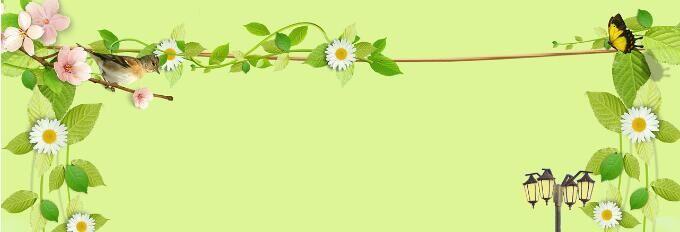 Visualizing and Understanding Convolutional Networks - 知乎