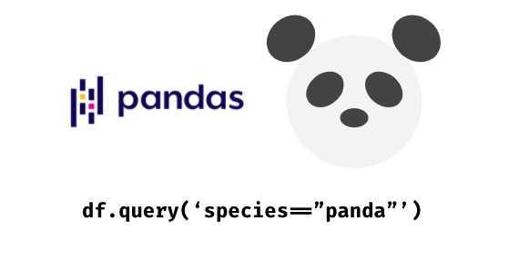 10快速入门Query函数使用的Pandas的查询示例 - 知乎