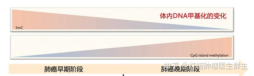 肿瘤患者应该如何使用 ctDNA 检测？ - 知乎