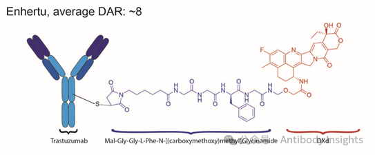 代表ADC药物深度解析：7种思路，7类精准打击 - 知乎
