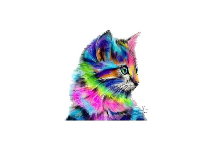 【TRO 24-cv-8058】匿名案件曝光！Rainbow Cat 彩虹猫版权发案，这张图片立刻下架！ - 知乎