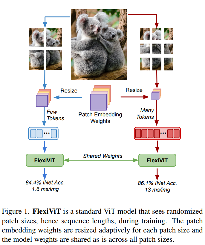 FlexiViT: 论文笔记 (CVPR'23) - 知乎