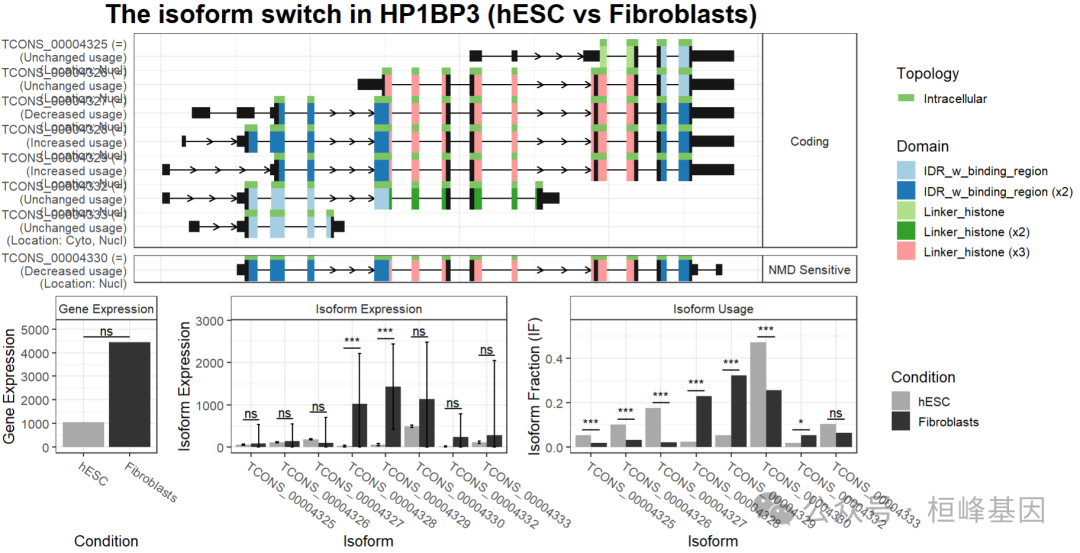 RNA 47. 基于转录组识别可变剪切和异构体开关(IsoformSwitchAnalyzeR)② - 知乎