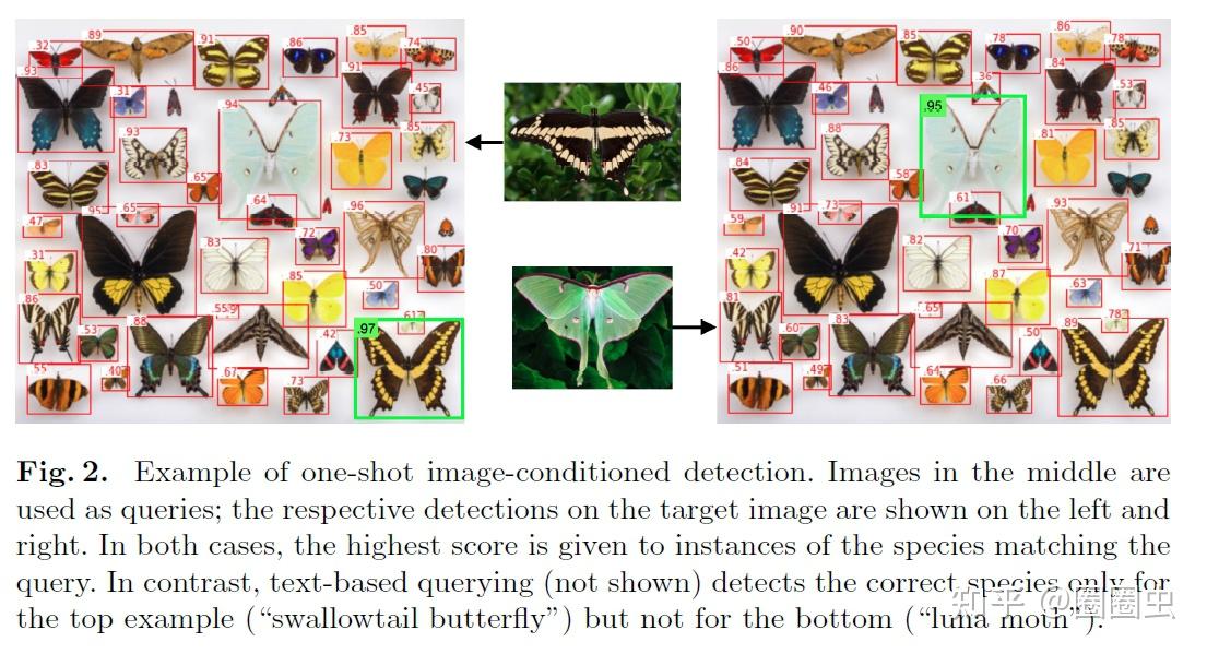 基于 AX650N 的开集目标检测（OWL-ViT） - 知乎