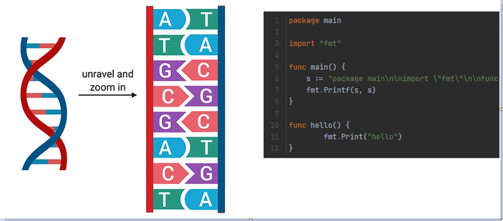Quine 程序与生物DNA序列的相似性 - 知乎