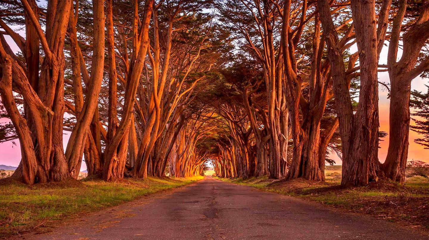 Java dom4j使用教程 - 知乎