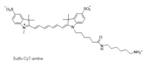 CY7荧光标记CY7-NHS菁染料CY7标记氨基 - 知乎
