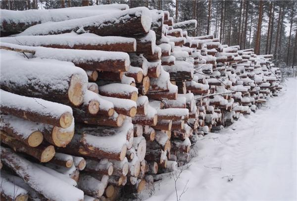 2019-2022年我国进口原木国家变化分析 - 知乎