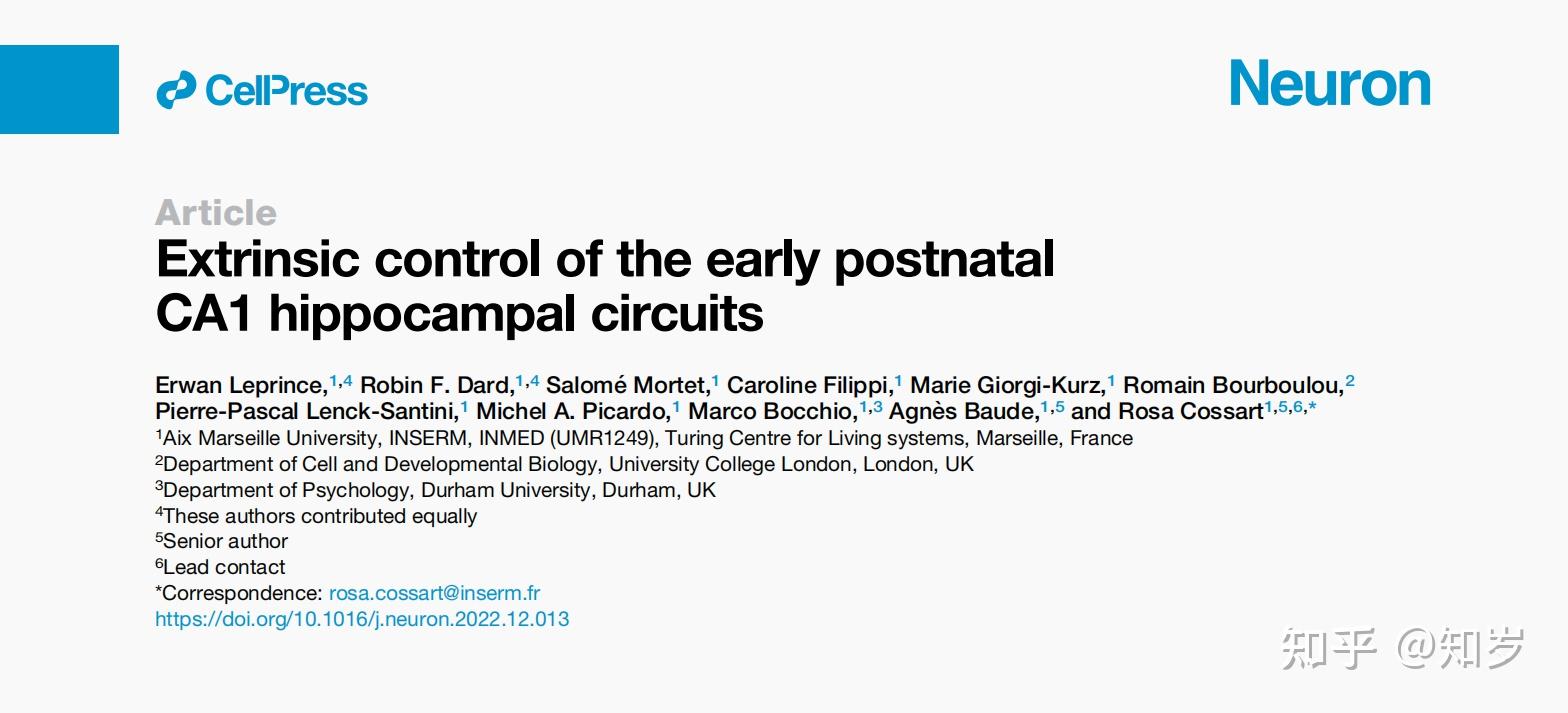 Neuron|出生后早期海马CA1回路的外部控制 - 知乎