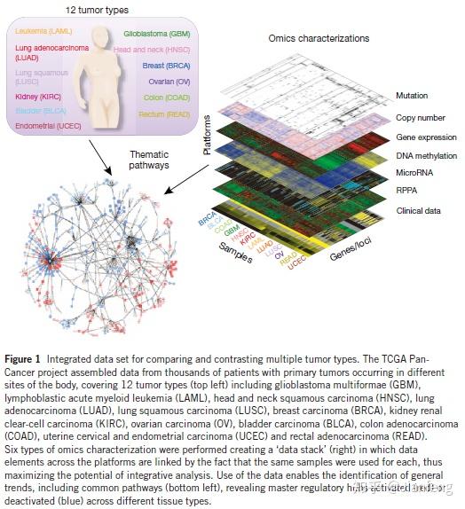 TCGA Pan-Cancer analysis project - 知乎