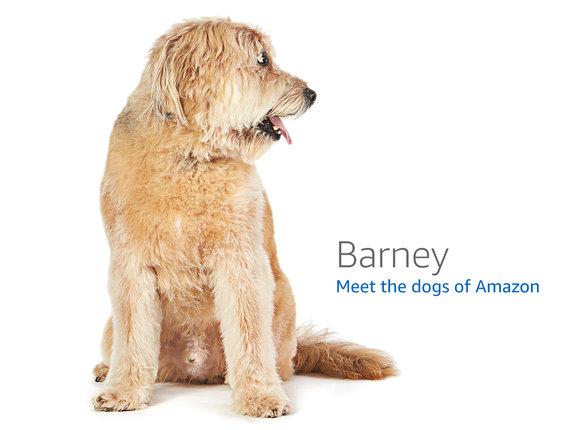 亚马逊选品难吗？它到底难在哪？ - 知乎