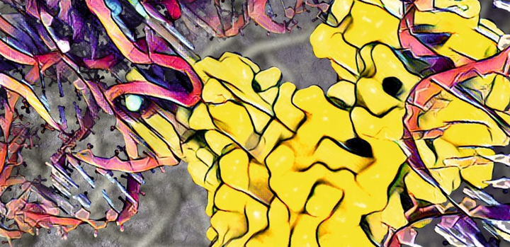 Nat. Commun.| 基于Rosetta、AlphaFold和质谱共价标记进行蛋白质复合物预测 - 知乎