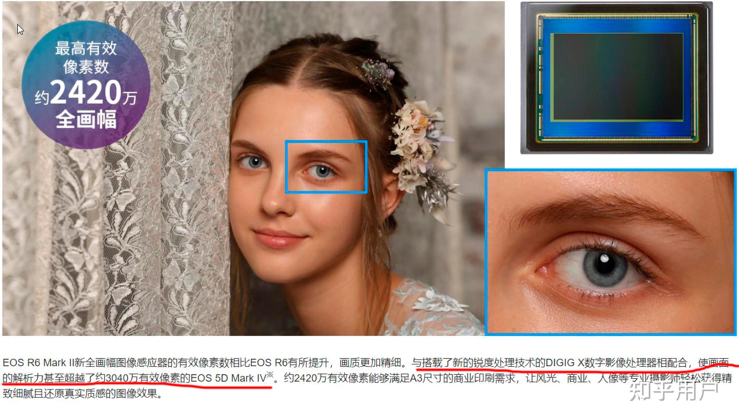 佳能 5D4 和佳能 R6Ⅱ 我该选哪个？ - 知乎