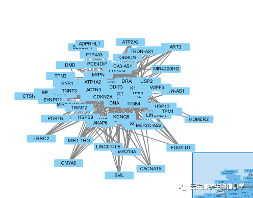 手把手教你使用Cytoscape - 知乎