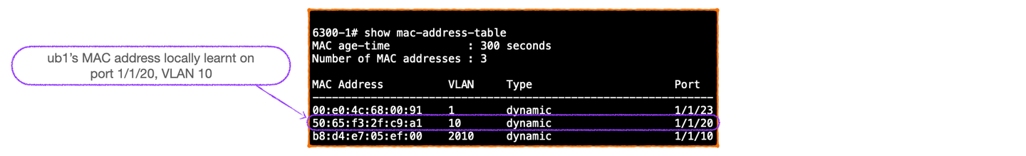 [译] EVPN-VXLAN 详解系列3-BGP UPDATE & Route Type 2 - 知乎