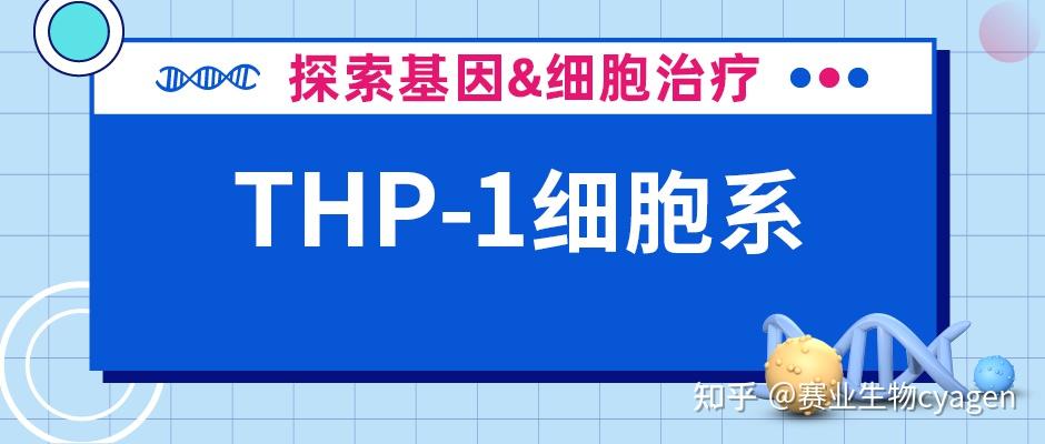 THP-1细胞系在免疫与炎症研究中的应用 - 知乎