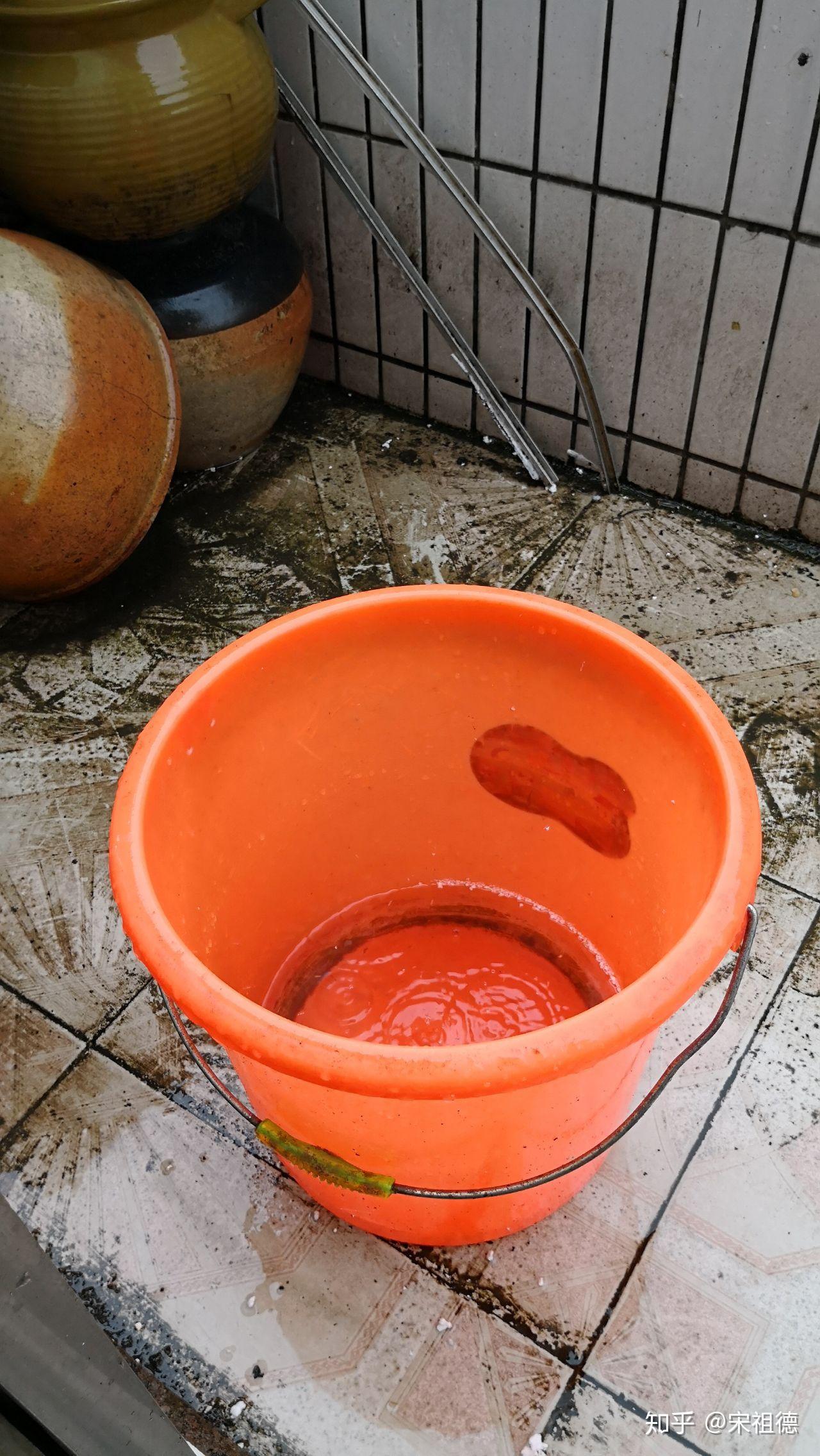 有哪些抓老鼠的绝招？ - 知乎