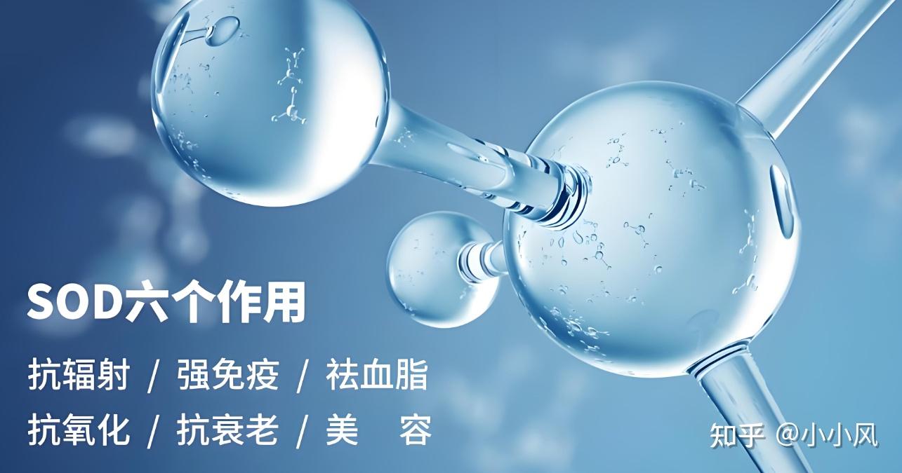 超氧化物歧化酶（Sod）是什么？ - 知乎