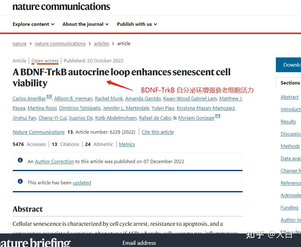 BDNF-TrkB 自分泌环在衰老细胞活力中的作用及其机制探讨 - 知乎