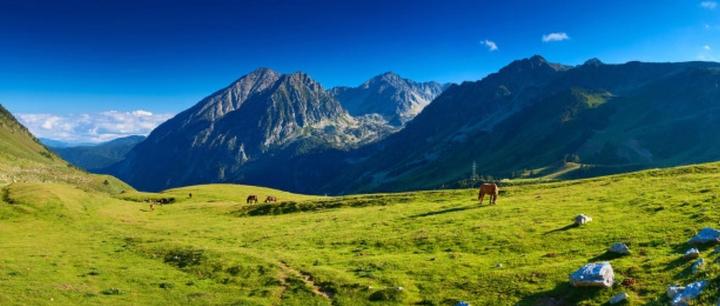 揭秘NVIDIA大模型推理框架：TensorRT-LLM - 知乎