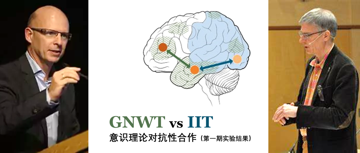 IIT vs GNWT：意识理论对比检验 - 知乎