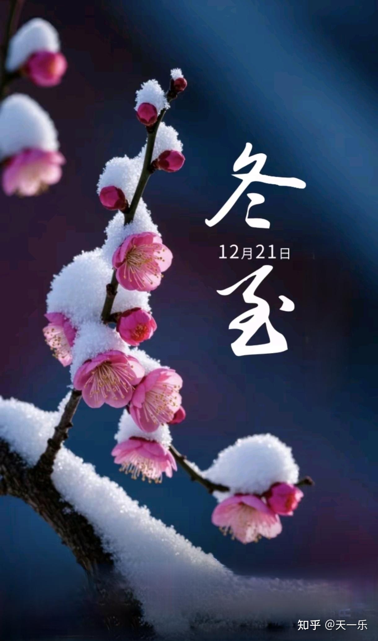 天之道：智慧节快乐！ 阳历新年快乐！Merry Wismas ！Happy Solar New Year ！ - 知乎