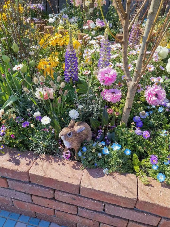 关于SVN图标 - 知乎