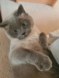 IEC 82304与IEC 62304：SaMD的软件标准解读 - 知乎